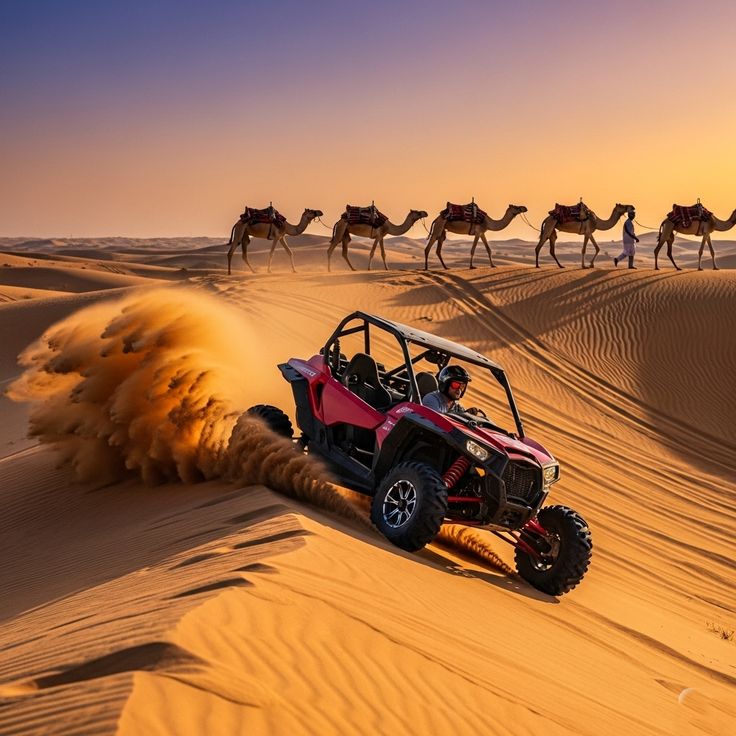 Desert Safari Dubai | BBQ Dinner & Premium Camp